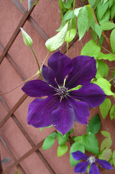 Natură + Mâncare = Love - FoodCrew