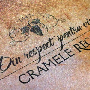 Lansare de vin la înălțime – Conacul Ambrozy, Cramele Recaș - FoodCrew