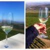 Lansare de vin la înălțime – Conacul Ambrozy, Cramele Recaș - FoodCrew